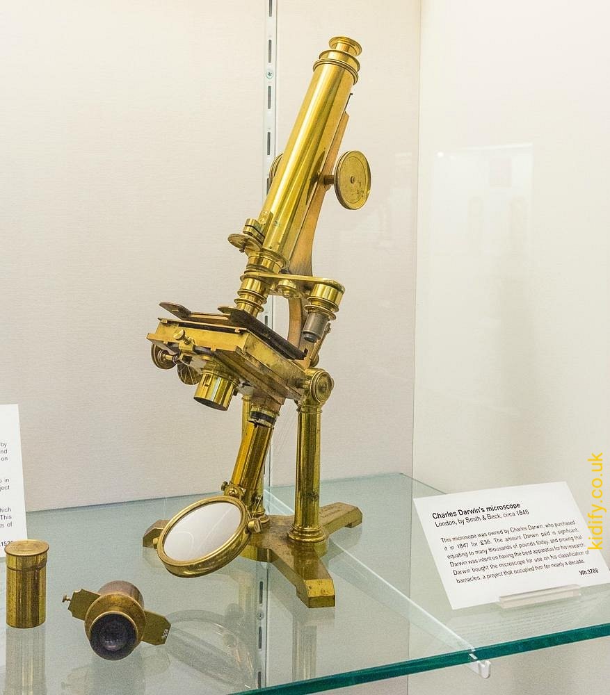 Whipple Museum of the History of Science | kidify.co.uk