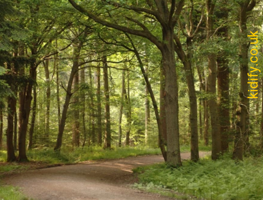 Bewdley Outdoors Bike Hire | kidify.co.uk
