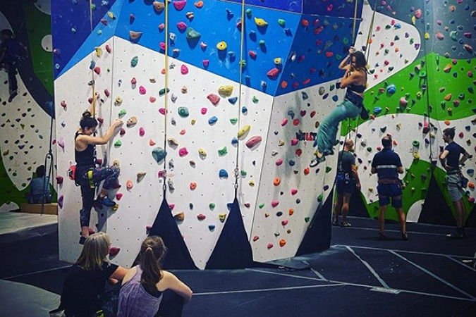 Golden Gecko Climbing | kidify.co.uk