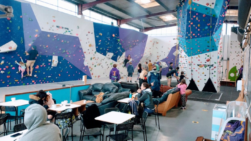 Golden Gecko Climbing | kidify.co.uk