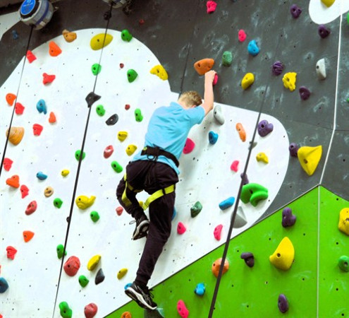 Golden Gecko Climbing | kidify.co.uk