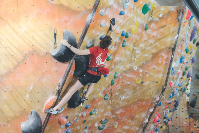 Blue Spider Climbing | kidify.co.uk