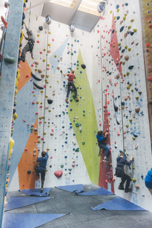 Blue Spider Climbing | kidify.co.uk
