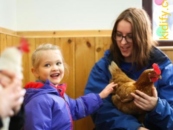 Stonehurst Family Farm and Museum | kidify.co.uk