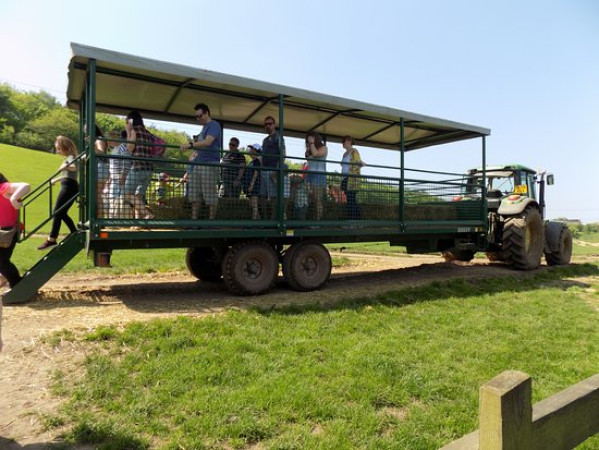Stonehurst Family Farm and Museum | kidify.co.uk