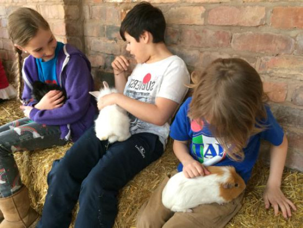 Stonehurst Family Farm and Museum | kidify.co.uk