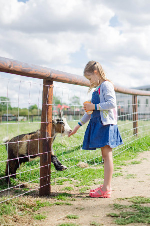 Mini Meadows Farm | kidify.co.uk