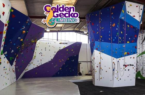Golden Gecko Climbing | kidify.co.uk