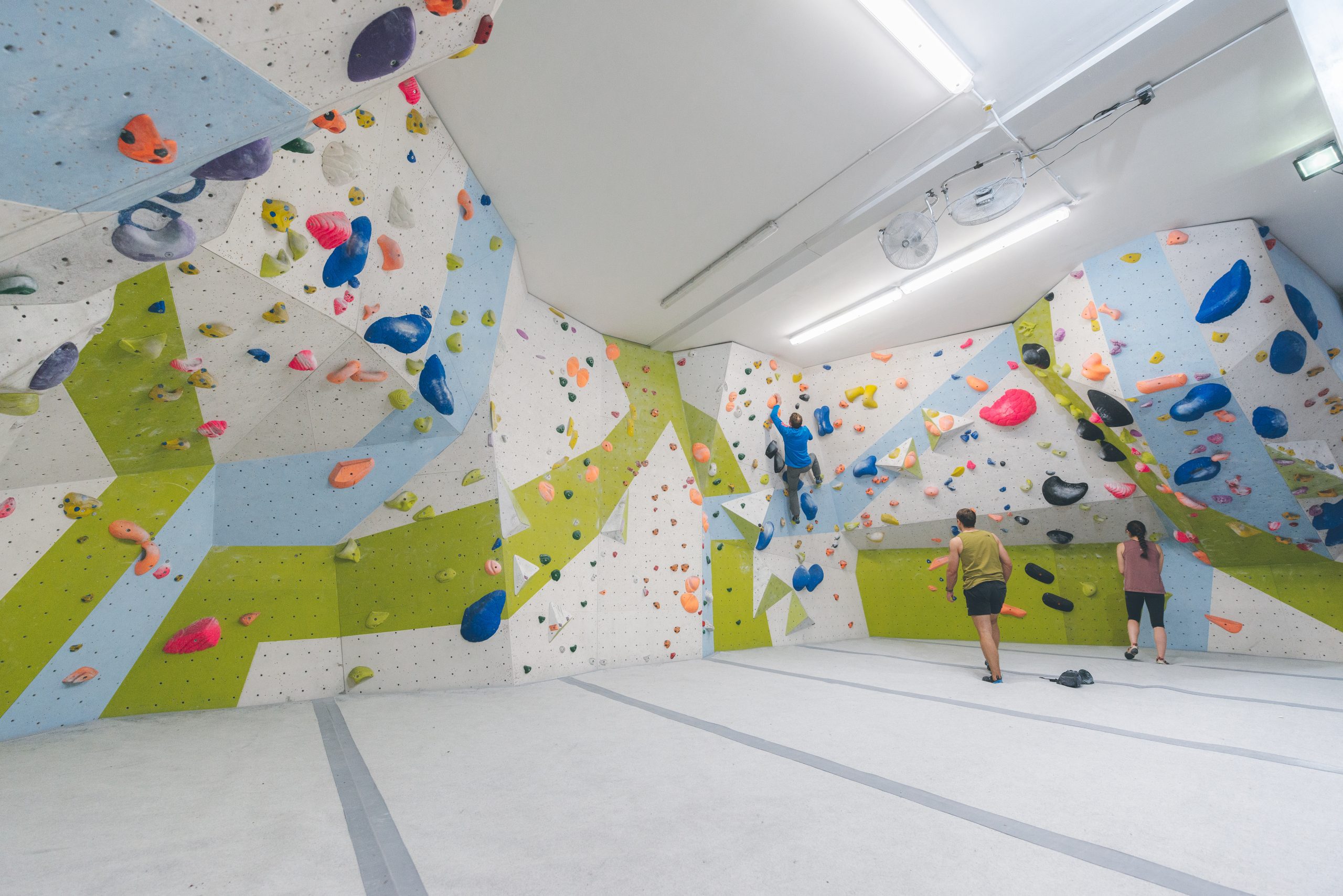 Blue Spider Climbing | kidify.co.uk