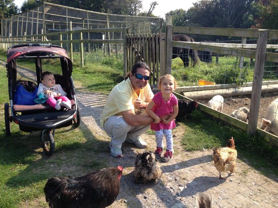 Dwyfor Ranch Rabbit Farm | kidify.co.uk